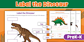 Label the Dinosaur | Kindergarten Resource | Twinkl USA