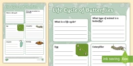 Butterfly Life Cycle Sentence Writing Worksheet - Twinkl