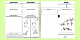 Jack's Beanstalk Life Cycle Worksheet / Activity Sheet - Jack and the
