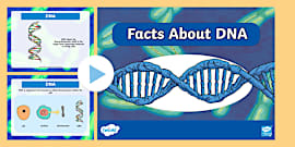 An Introduction to DNA PowerPoint (teacher made) - Twinkl