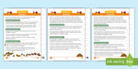 Matariki Reading Comprehension Activity (teacher made)