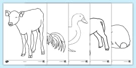 Farm Colouring Cutting and Sticking Worksheet / Worksheet - Hen Colouring,