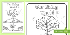 Find and Colour the Living and Non-Living Things Worksheet