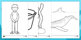 FREE! - Full Bucket Colouring | Colouring Sheets - Twinkl