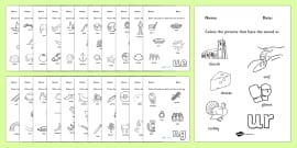 Animal Poo Classification Worksheet (teacher made)