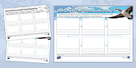 Canadian Birds Mind Map (Hecho por educadores) - Twinkl