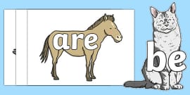 Phase 4 Tricky Words on Farm Animals - Phase 4 Tricky Words on Farm Animals