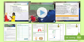 AQA Inheritance, Variation and Evolution Lesson 7: Evolution