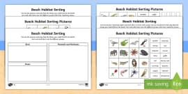 Land and Ocean Animal Sorting Activity (Teacher-Made)