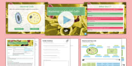 Bacteria, Fungi and Virus Writing Prompts Photo Pack