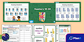 Phase 1 Number: Count, Read and Write to 20 (teacher made)