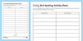 Skellig Book Cover Worksheet (Hecho por educadores) - Twinkl