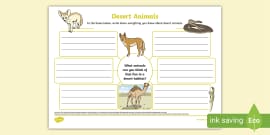 Desert Animal Food Chain Activity Sheet - Twinkl - KS2