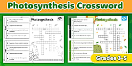 Photosynthesis Flap Book for 3rd-5th Grade