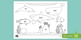 Colour Code Phase 2 Tricky Words (teacher made) - Twinkl