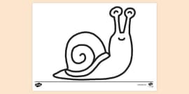 Parts of a Snail Worksheet / Worksheet (teacher made)