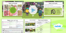 Science: Plants: Wild Plants Year 1 Lesson Pack 2