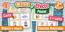 Tarjetas educativas para imprimir y laminar: Causa y efecto