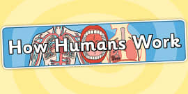 FREE! - Super Humans Display Banner (teacher made) - Twinkl