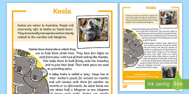 Koala Life Cycle Worksheet / Worksheets - Australian Curriculum Biological
