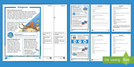 Dolphin Comprehension Worksheet / Worksheet (teacher made)
