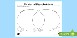 What is a Venn diagram? | Twinkl Teaching Wiki - Twinkl
