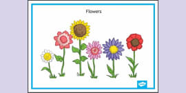 FREE! - Flower Poster | Display | Primary Resources - Twinkl