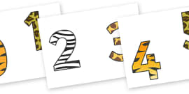 Count The Spots 0 to 20 Display Numbers - Counting Display