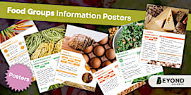 5 Food Groups | Food Group Facts for Kids | Teaching Wiki