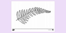 FREE! - Fern Colouring Sheet | Primary Resources - Twinkl