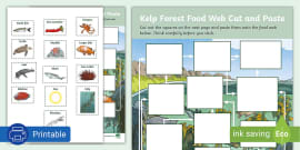 Kelp Forest Banner (Lehrer gemacht) - Twinkl