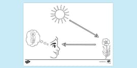 Classroom Lights | KS1 Colouring Sheets | Twinkl Resources