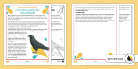 What is a Folktale? - Answered - Twinkl Teaching Wiki