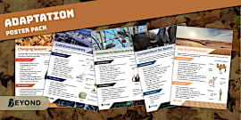 Penguin Adaptations Poster - KS2 - Science