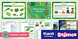 Science: Plants: Year 1 Medium-Term Plan