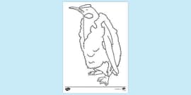 FREE! - Emperor Claudius Colouring Sheet | Colouring Sheets