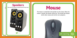 Computer Inputs and Outputs Worksheet (teacher made)