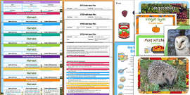 Harvest Lesson Plan for early years (teacher made)
