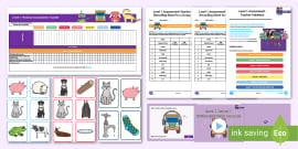 Twinkl Phonics Whole Scheme Assessment - Primary Resources