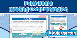 Third Grade Polar Bears Reading Passage Comprehension