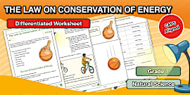 Describing Mass Conservation Worksheet