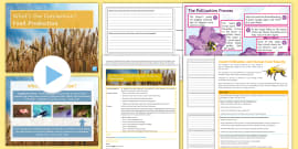Relationships in Ecosystems: How Animals Are Connected in a Food Web ...
