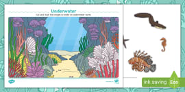 Cut and Stick Pond Activity (Teacher-Made) - Twinkl