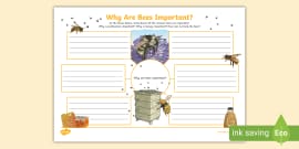 Why Are Bees Important? Fact File Template (teacher made)