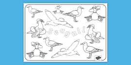 FREE! - Test Circuit Incomplete Colouring Sheet - Twinkl