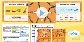 Food Chain PowerPoint - Science Resource - Twinkl