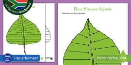 Dis Tyd vir Beweeg! Visuele Kaartjies (teacher made)