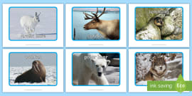 Winter Word Mat - Winter, word mat, writing aid, topic words, skis, ice