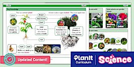 Science: Plants: Unit Pack Year 1