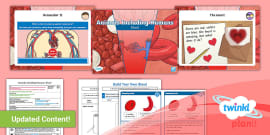 Circulatory System Reading Comprehension Worksheets | Twinkl